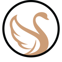 The Swan Bar – Carrick-on-Shannon's premier destination for a memorable ...